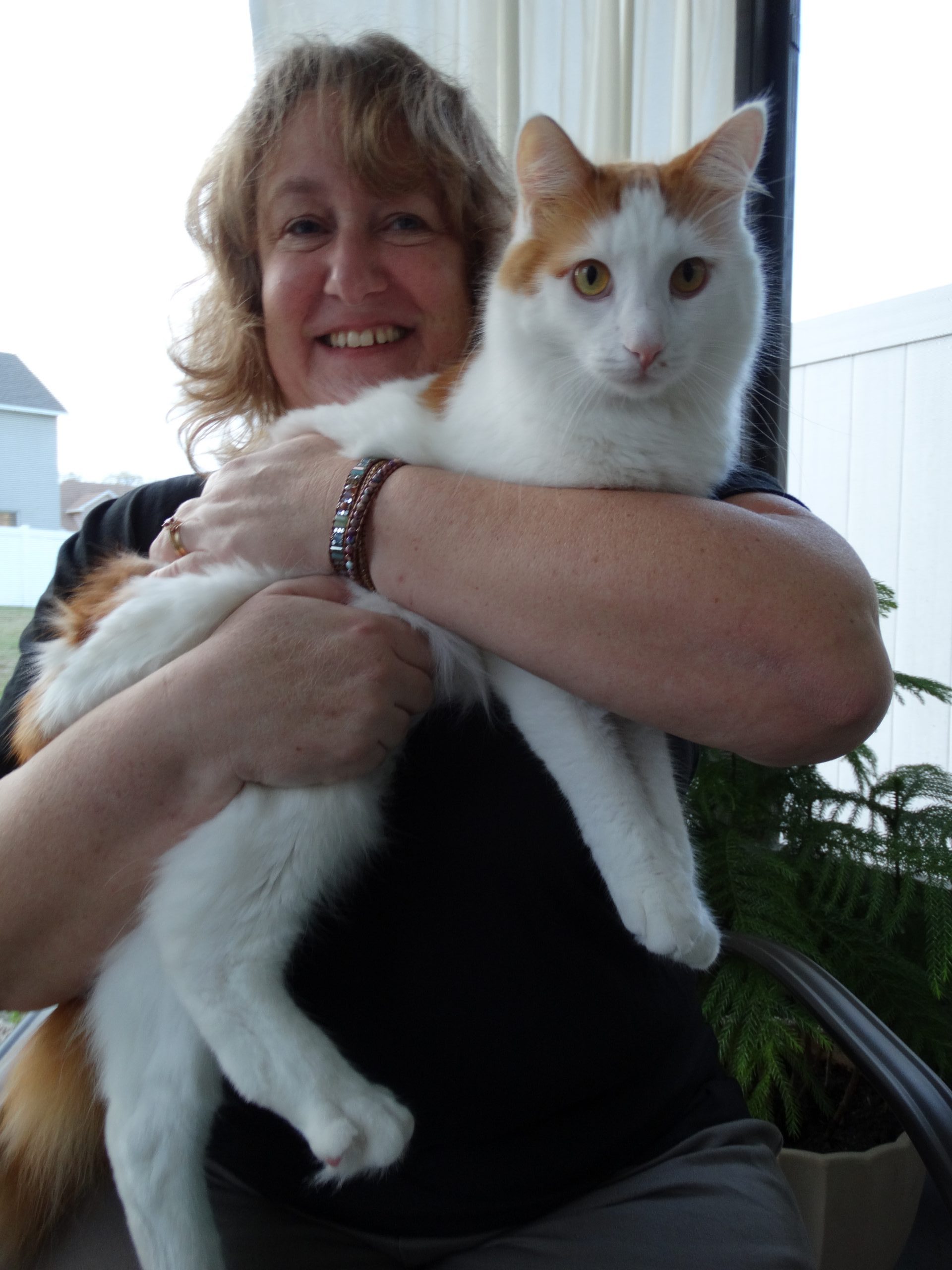 Team - Atta Boy! Animal Care - Pet Sitting + Dog Walking | Lakeland